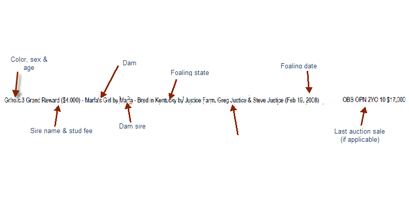 Equibase Company LLC